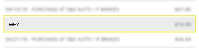 What is WPY charge on my statement?
